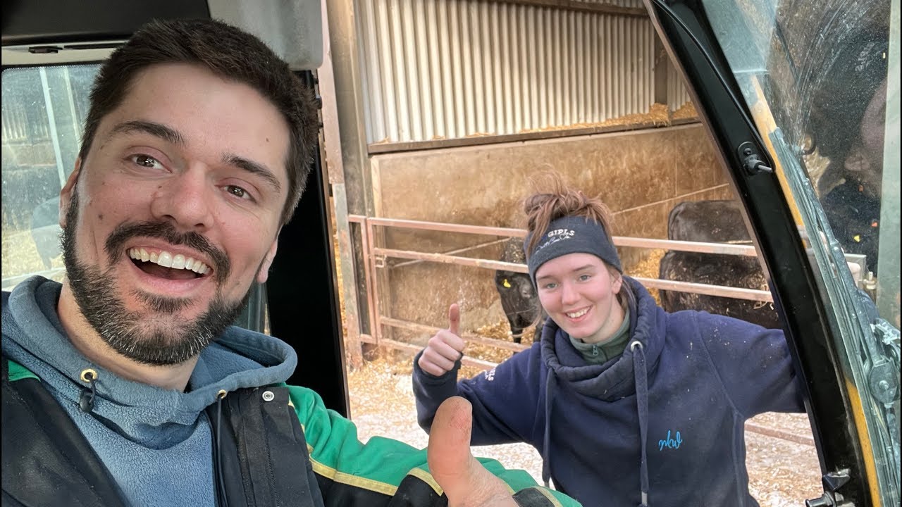 Joe and Em and Cows! | Joe Seels | The Content Farm
