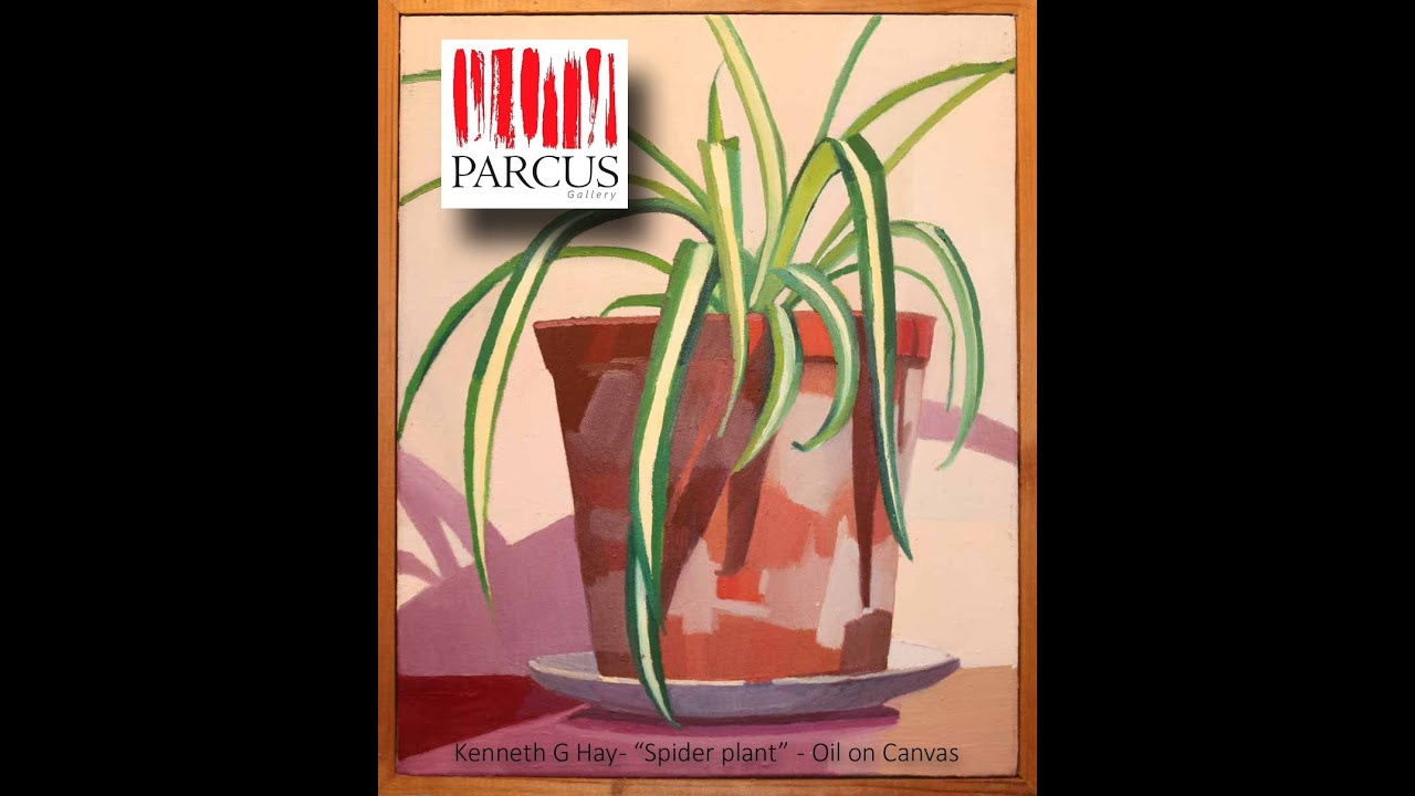 "Spider plant" by Kenneth G Hay. - YouTube