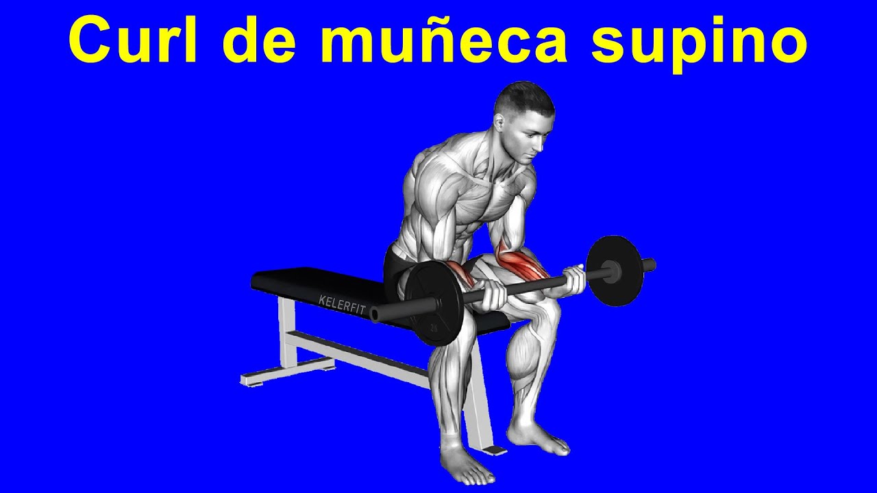 Ejercita los antebrazos con la rutina curl de muñeca supino - YouTube