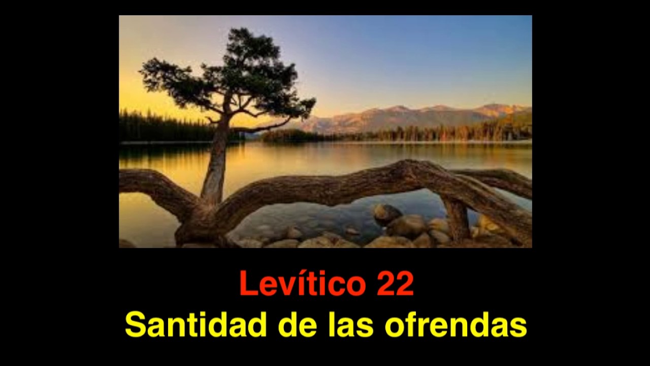 Levítico 22: Santidad de las ofrendas - YouTube