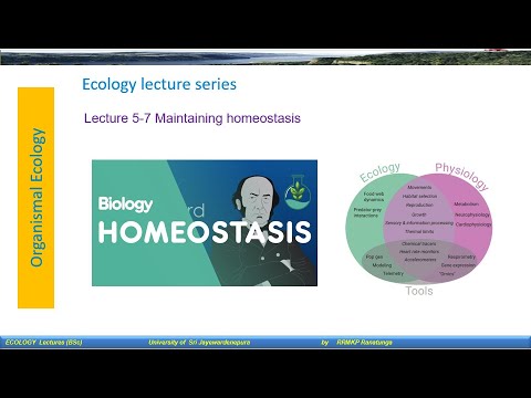 Ecology lectures 5 -7 Maintaining Homeostasis - YouTube