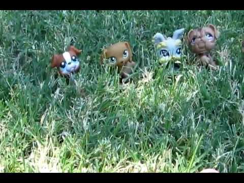 LPS Hunger Games: Day 1; The Cornucopia - YouTube