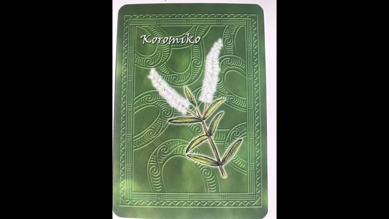 The Maori Oracle - Koromiko - YouTube