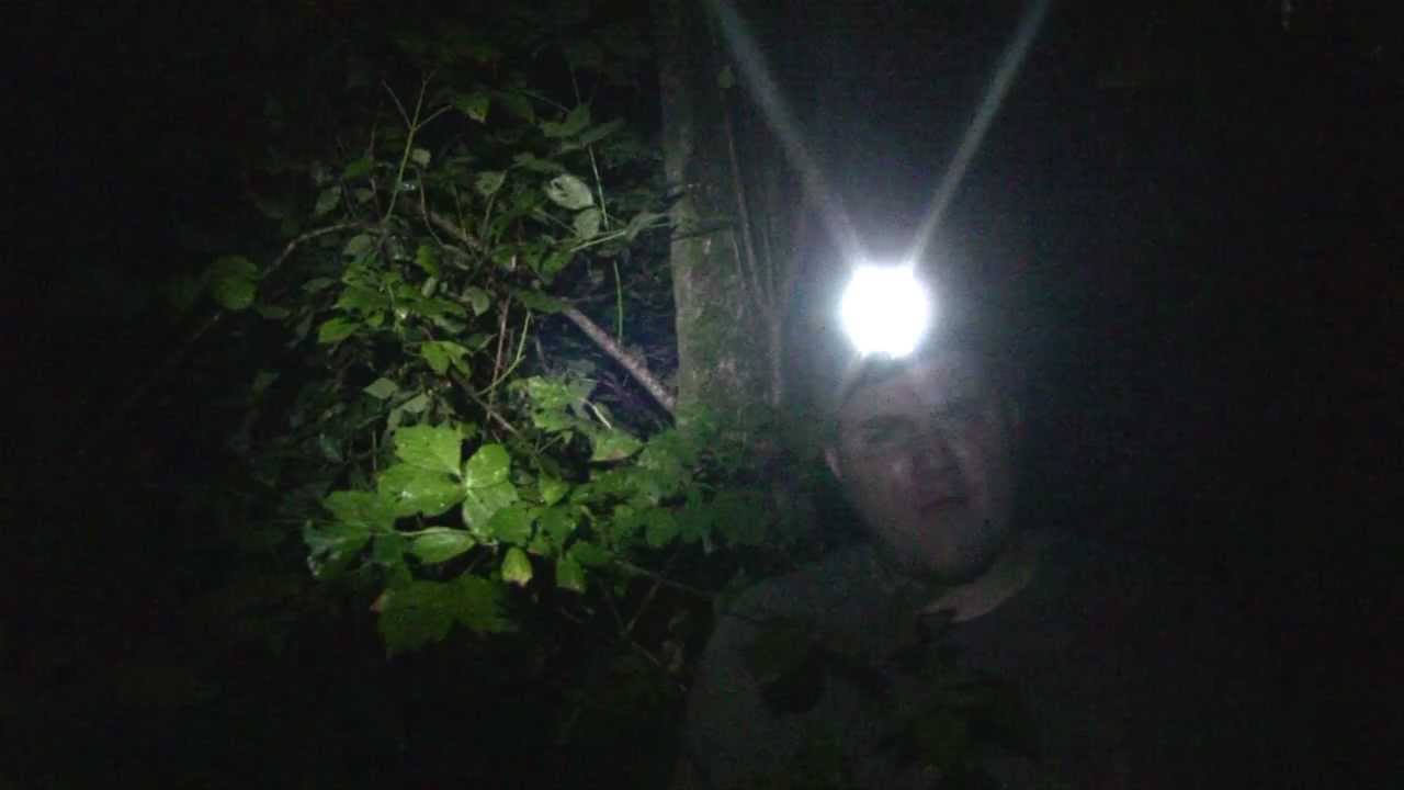 What's Creeping While You're Sleeping - YouTube
