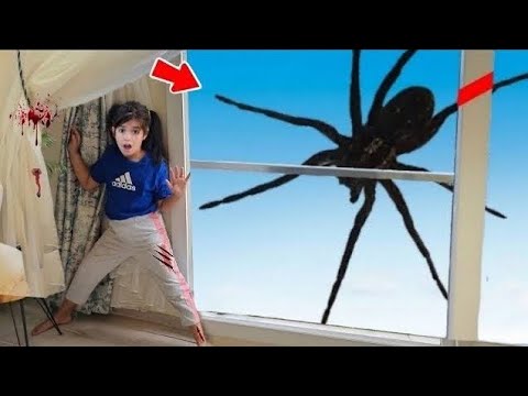 KORKUNÇ CANAVAR ÖRÜMCEK BİZİ GÖRDÜ MELİSA NİSA BİZİ YAKALAMAK İSTİYOR !!