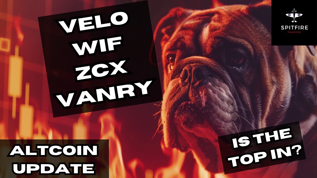 Altcoin Chart Request, VELO Crypto, WIF Crypto, ZCX Crypto, VANRY ...