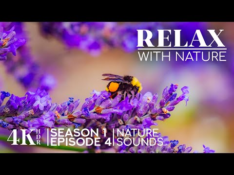 Most Beautiful Places in the World 4K - Scenic Film + Nature Sounds - RELAX WITH NATURE - Episode 4