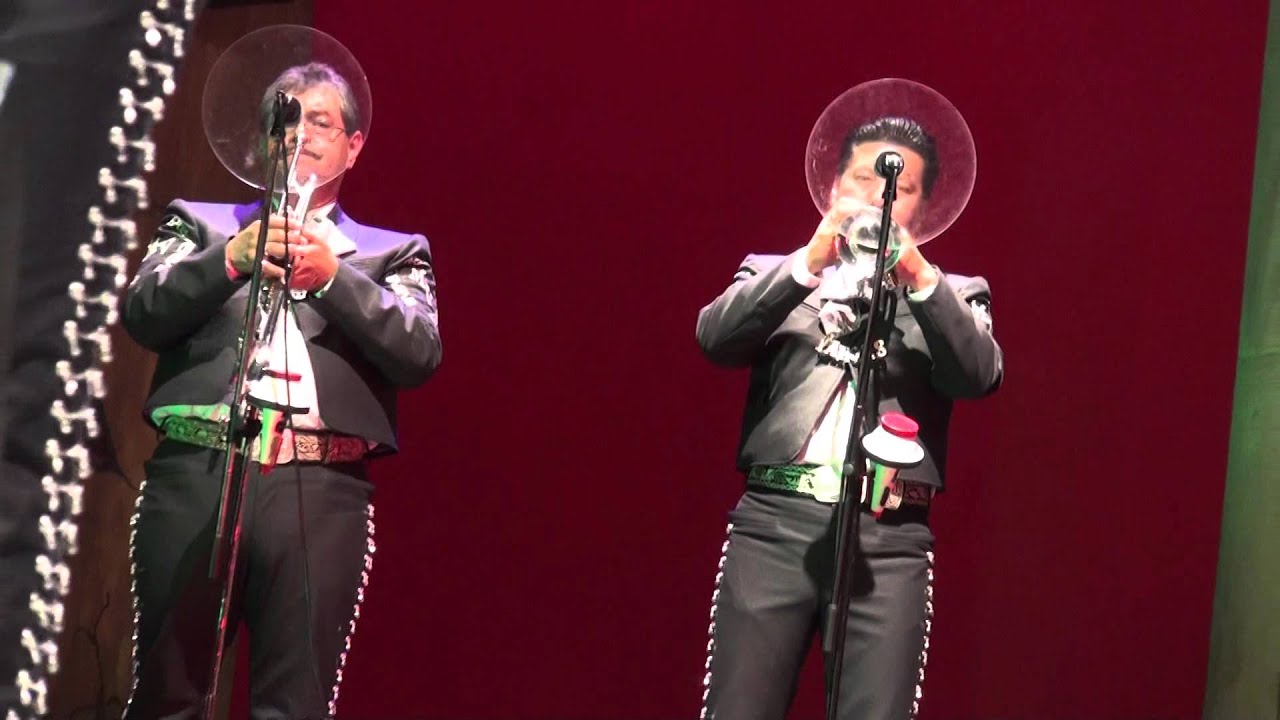 Huapango de Moncayo en vivo Mariachi Vargas de Tecalitlan - YouTube