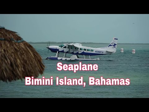 Seaplane | Bimini Island, Bahamas 2021 - YouTube