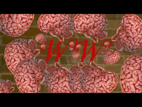 Betty Mushroom Wonder Rag Gets a Brain - YouTube