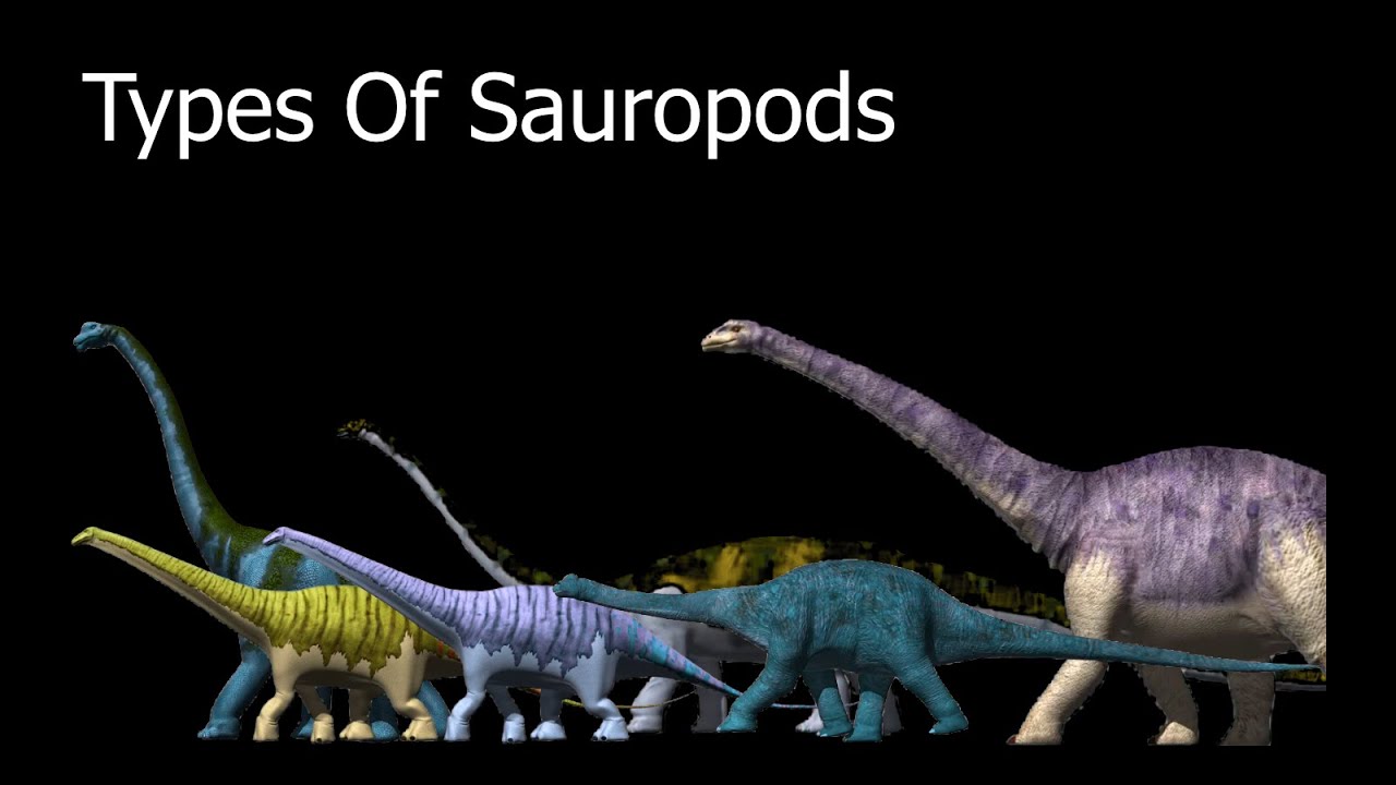 Types Of Sauropods - YouTube