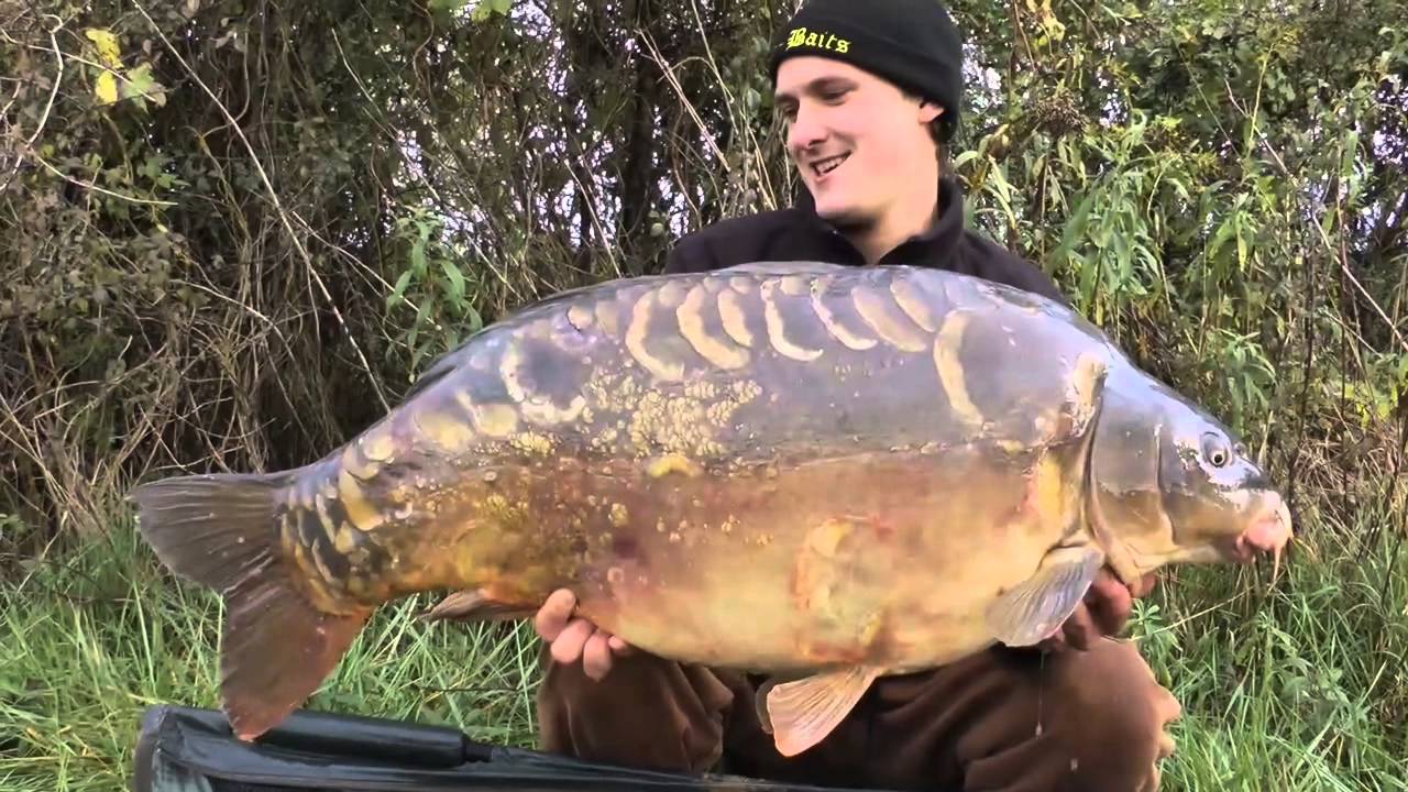 Karpfenangeln Herbst Bär Baits - YouTube