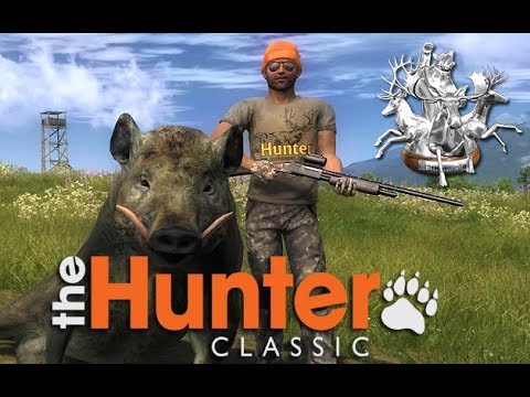 Hog N Shot | theHunter Classic | Trophy Feral Hog | 2018 - YouTube