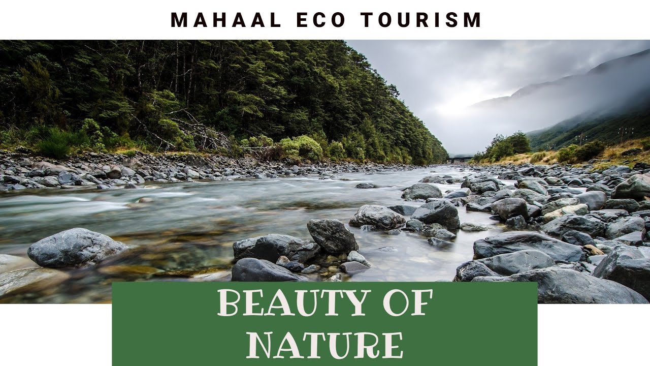 Mahal Eco Tourism 4K // Eco Campsite in Ahwa Dang - Gujarat | Life With ...