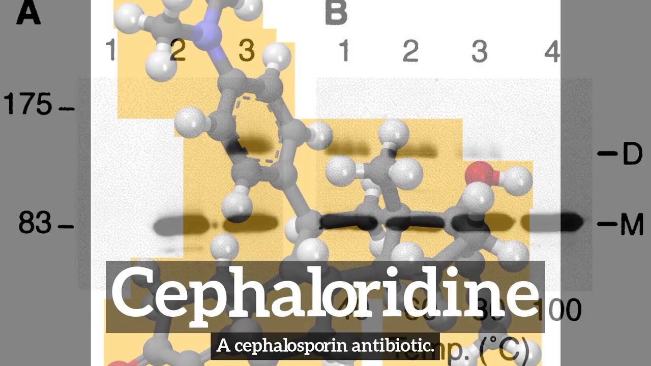 How to Say Cephaloridine in English? | What is Cephaloridine? | How ...