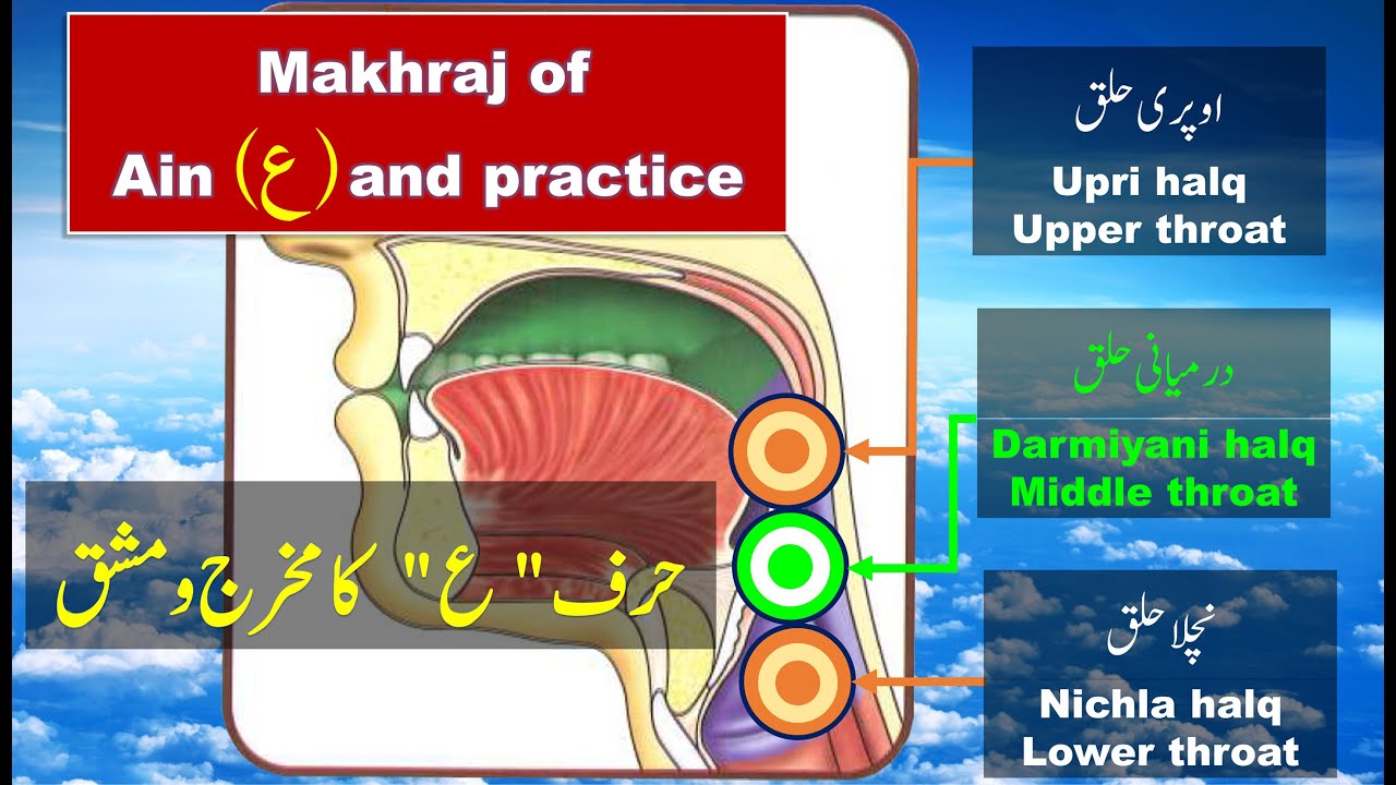 How to pronounce letter Ain ( ع ) in Arabic | Makhraj of Ayn letter ...