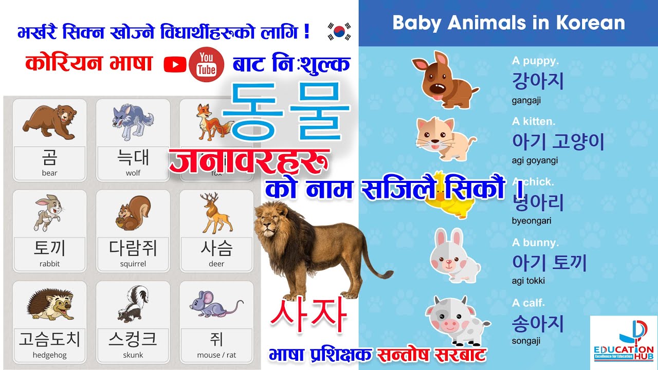 कोरियन भाषामा जनावर सम्बन्धित मिनिङहरु ५ मिनेट मै फरर || 동물 | सन्तोष ...
