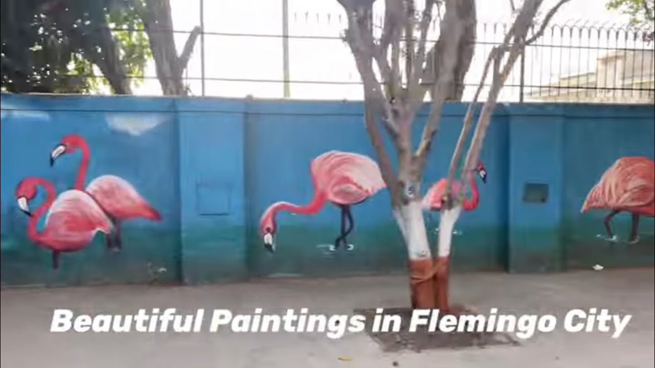 Flamingo City ride on cycle फ्लेमिंगो सिटी सायकल राइड 🦩🦩🦩🦩 - YouTube