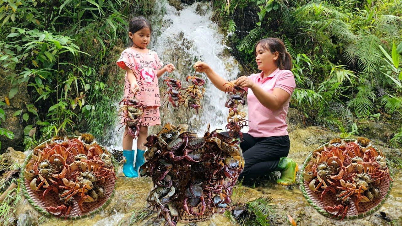 Mother and son went into the forest to catch stone crabs to sell at the ...