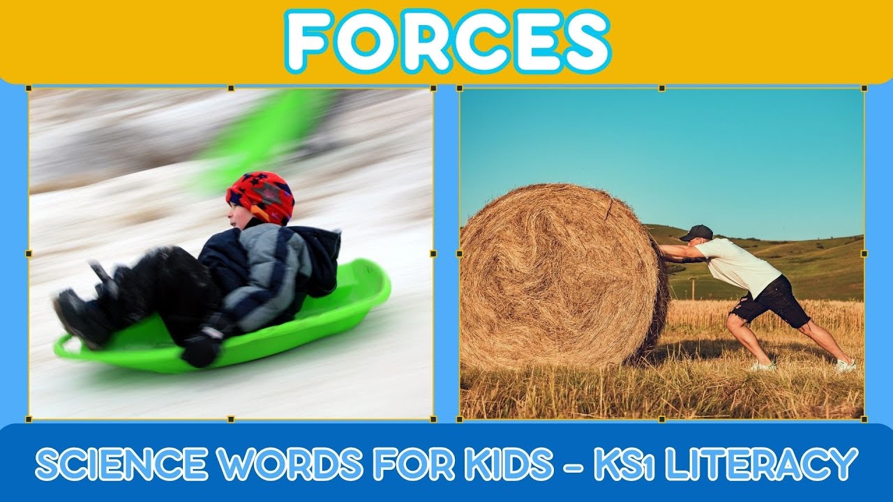 Playground Forces: Playground Forces for Kids | videos for kids - YouTube