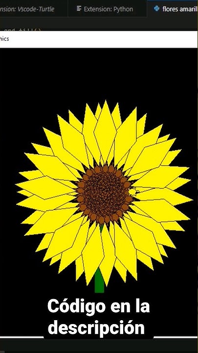 Regala un Girasol a tu Novia con Python #shorts #python - YouTube