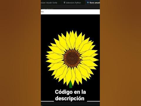 Regala un Girasol a tu Novia con Python #shorts #python - YouTube