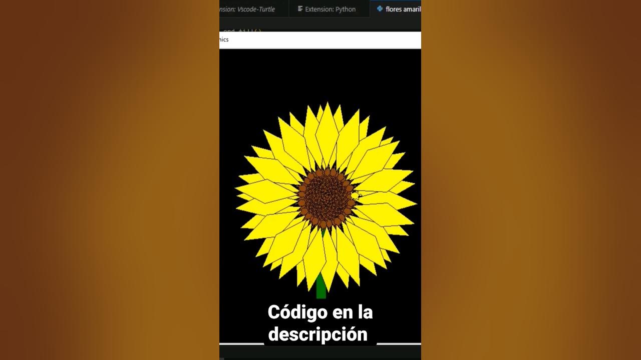 Regala un Girasol a tu Novia con Python #shorts #python - YouTube