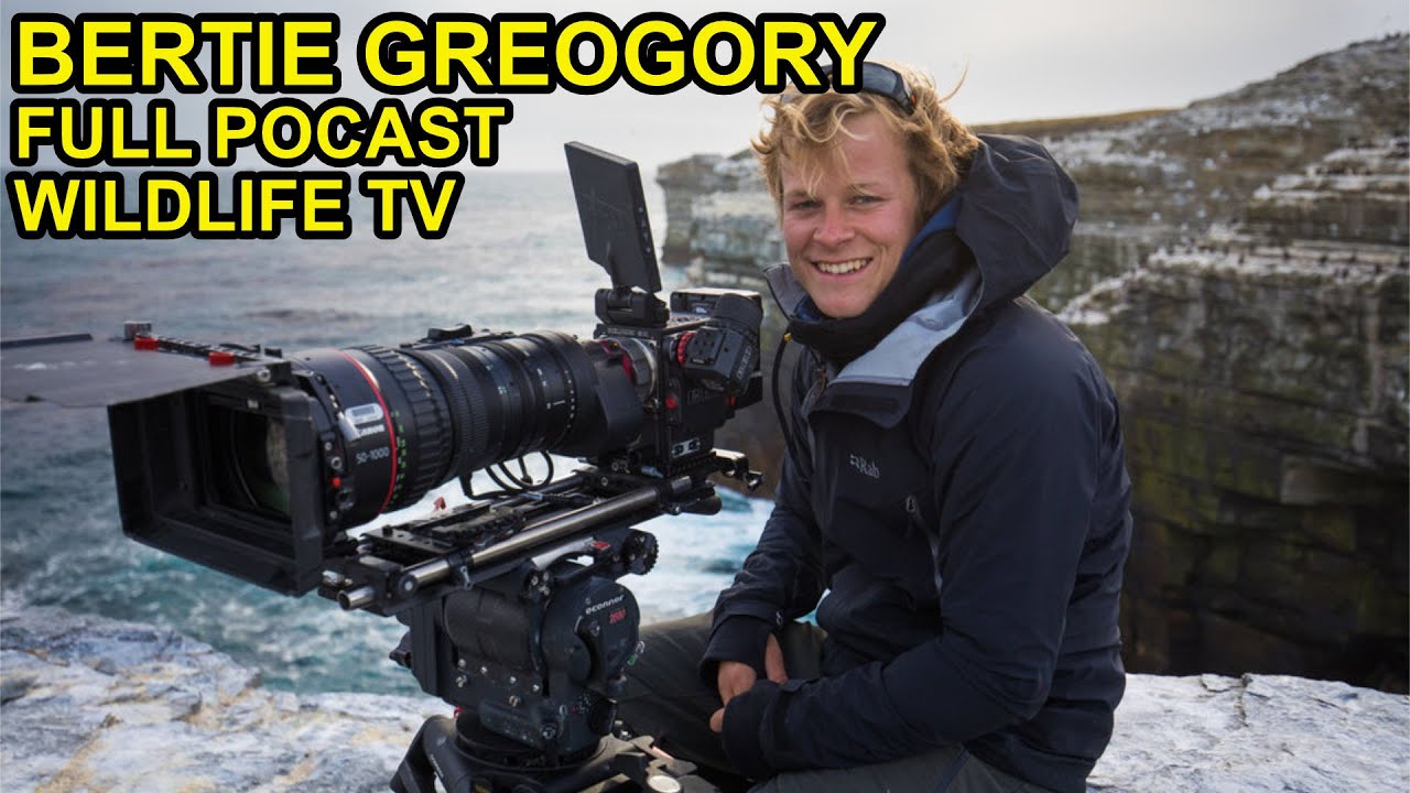 A Career in Wildlife Filmmaking ft Bertie Gregory FULL PODCAST - YouTube