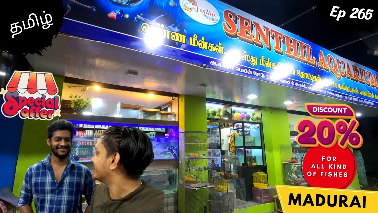 Senthil Aquarium & Petshop Madurai - YouTube