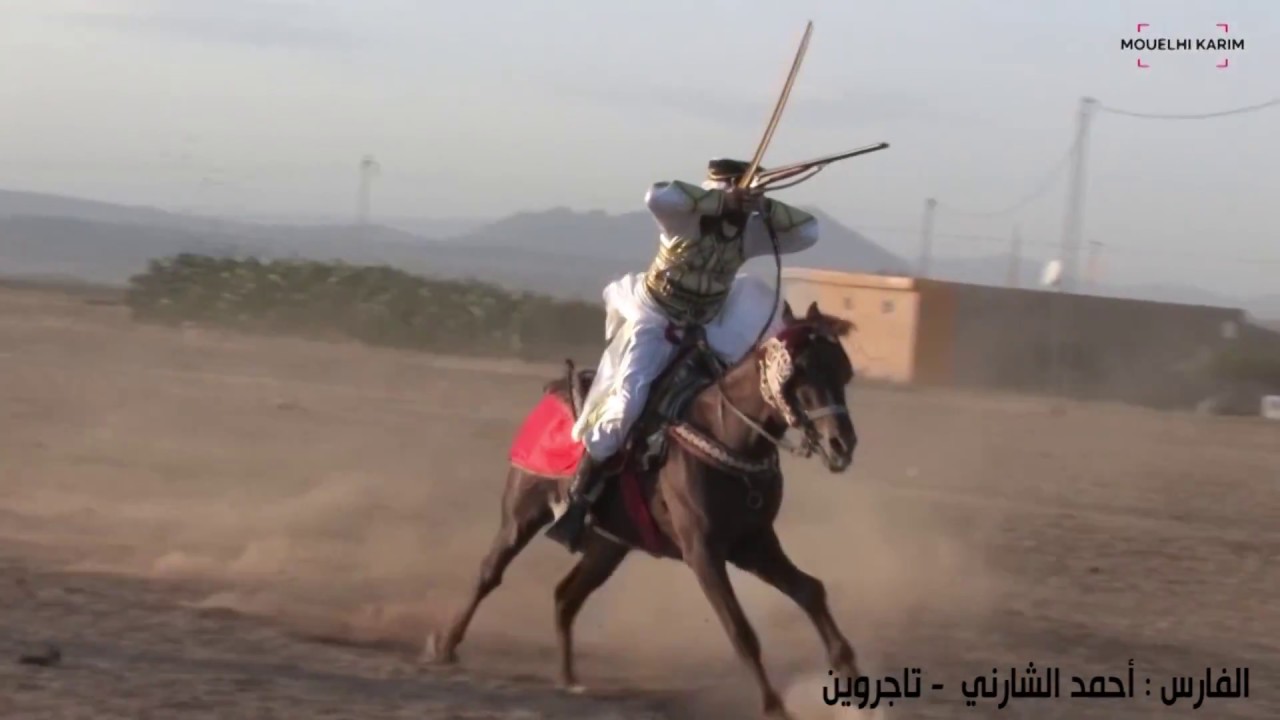 Ahmed cherni فرسان تاجروين : الفارس أحمد الشارني - YouTube