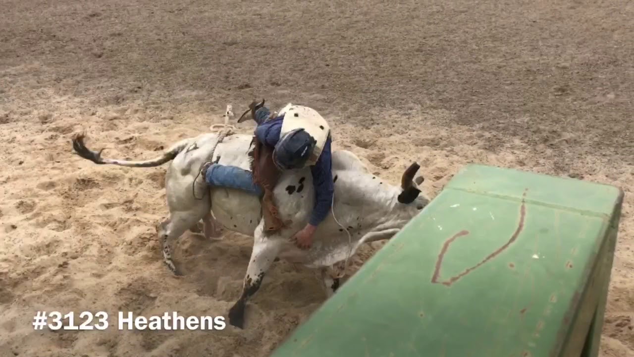 Jordan valley big loop 2017 King rodeo co - YouTube