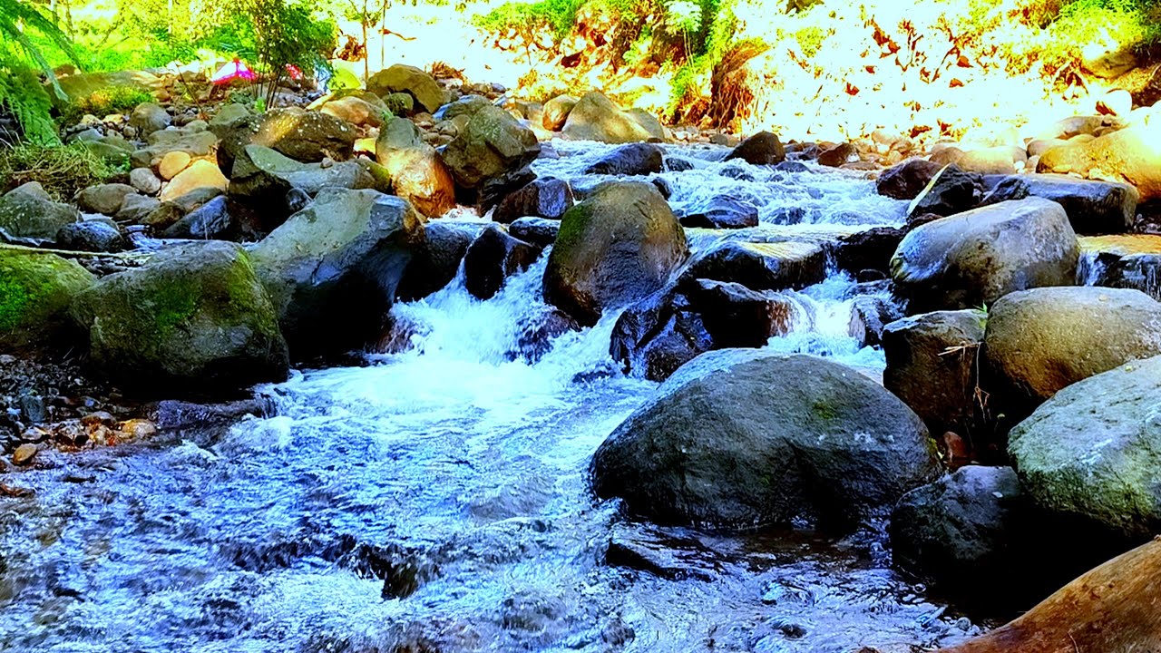 The sound of water to sleep, the sound of flowing water in the forest ...