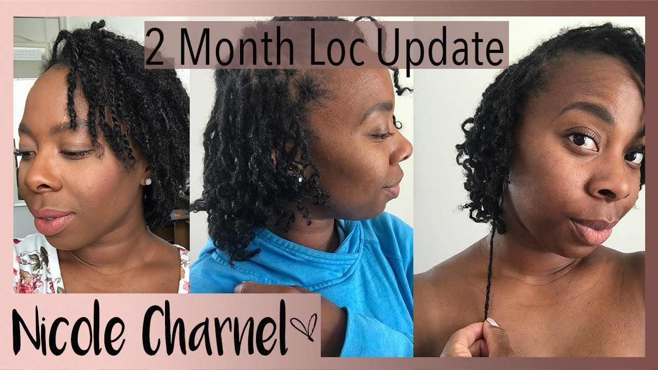 DIY Mini Starter Locs | 2 Month LOC Update - YouTube