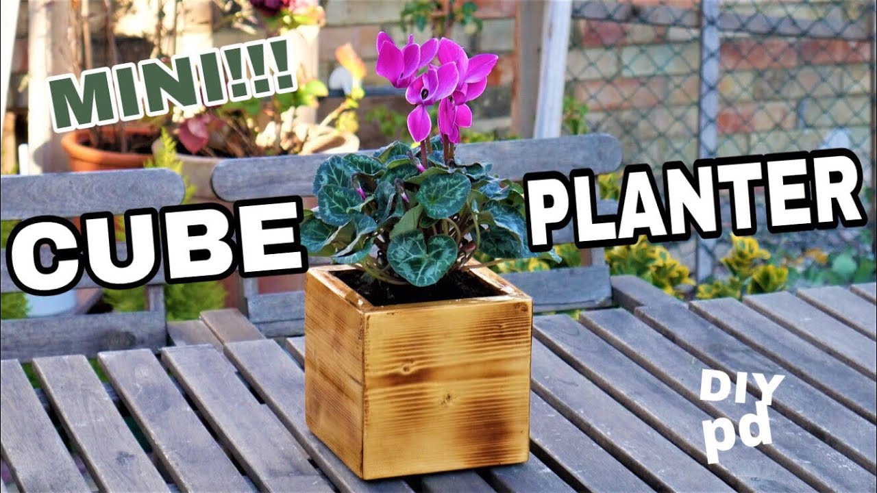 Cube Flower Planter Box - Mini DIY Garden Planter Box | DIY Decor Ideas ...