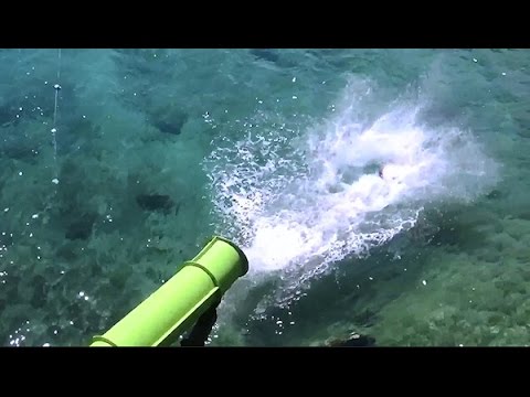 What if a cruise ship water slide dumped you in the ocean?