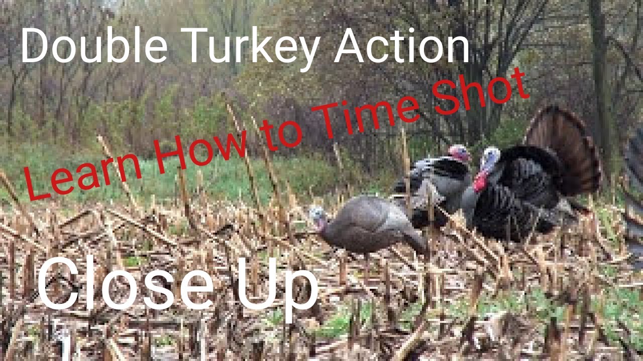 Double Turkey Hunt - YouTube