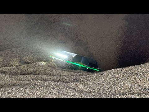 Grain Weevil Robot Working Crusty Soybeans 