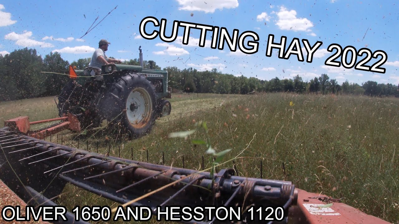 Cutting Hay 2022: Oliver 1650 and Hesston 1120 - YouTube
