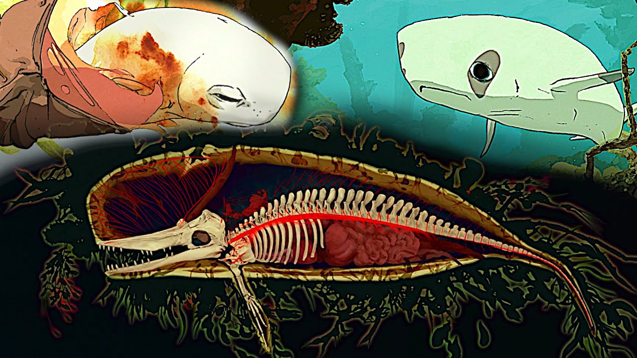 Sad Documentary About A Baby Whale In A Deadly Alien Sea - South ...