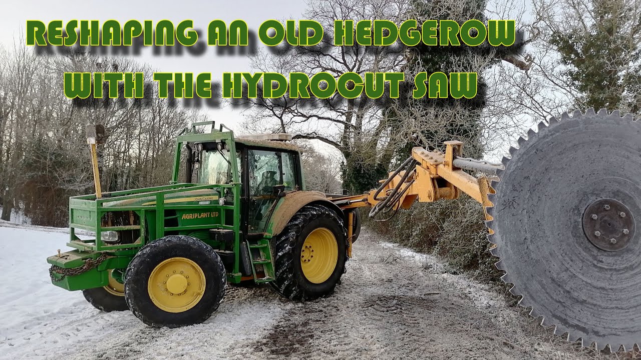 RESHAPING A HEDGEROW pt1 - YouTube