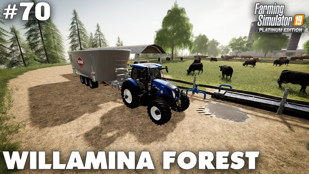 Willamina Forest #70 New Cow Pasture & Buying More Cows, Farming ...