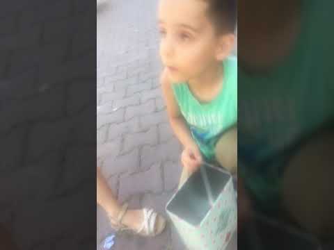 Kola ve mentos deneyi