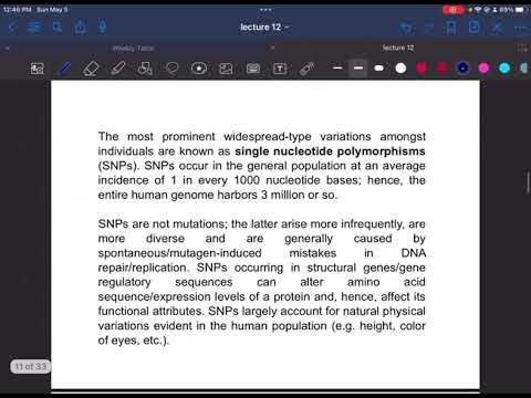 Genetics: Lecture 12 part 2 - YouTube