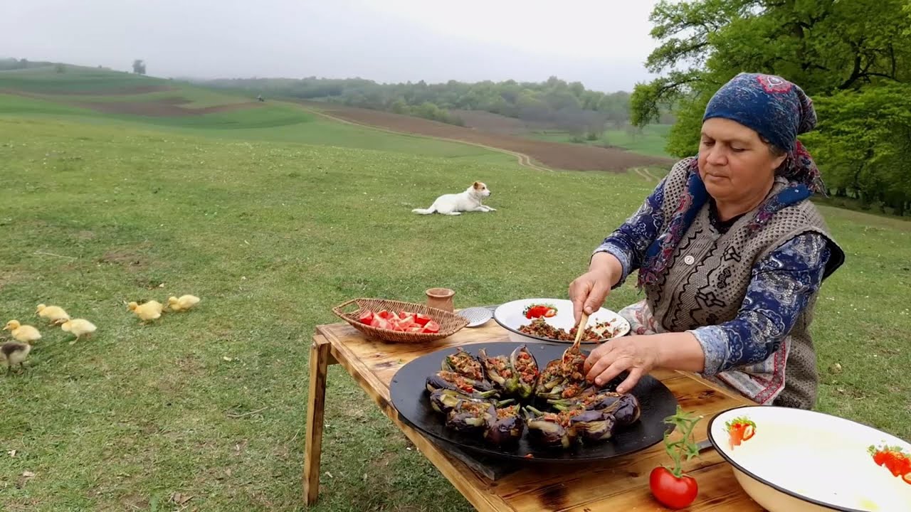 You can Learn Real Turkish Cooking Fast: 15-Minute Fireside Eggplant ...