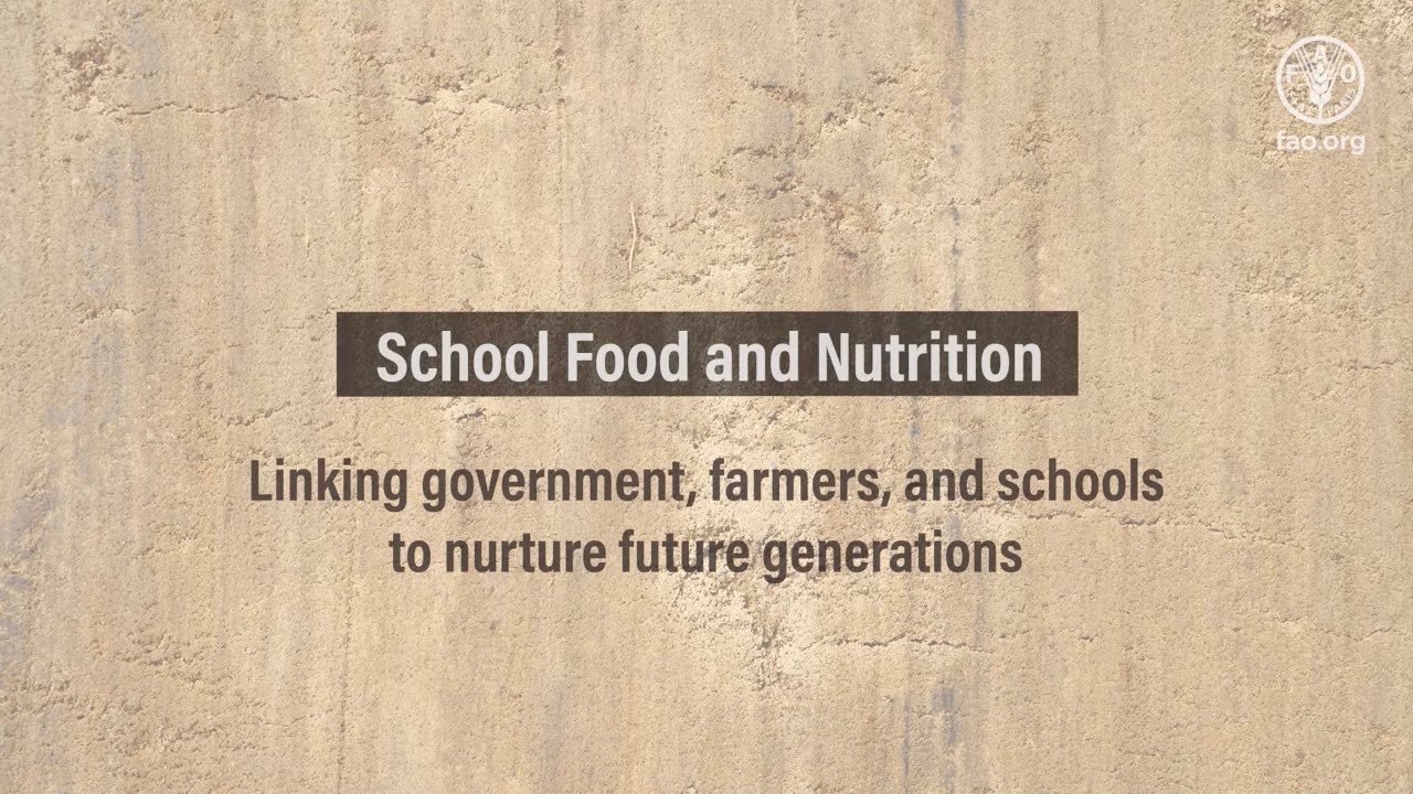 FAO School Food and Nutrition Video Explainer - YouTube