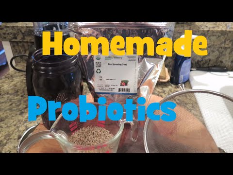 Homemade Probiotics and Benefits (Rejuvelac) | Episode 6 - YouTube