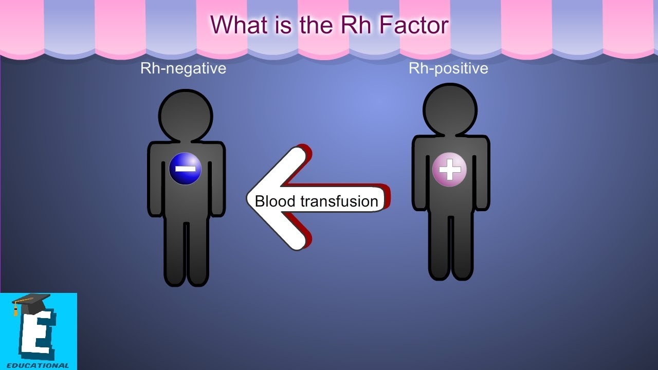 What is the Rh Factor Learn for Children and Kids | EDUKID Learning ...