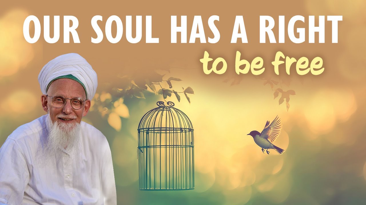 Our Soul has a Right to be Free - YouTube