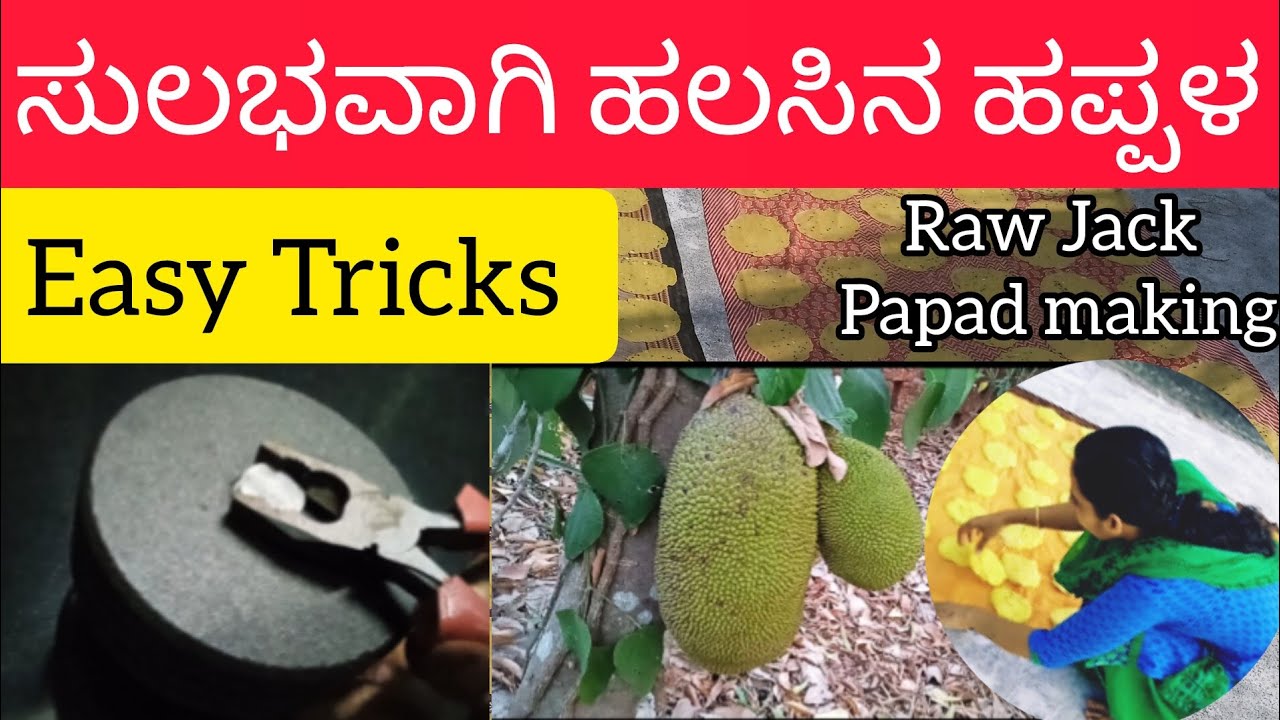 ಹಲಸಿನ ಹಪ್ಪಳ ಮಾಡುವ ವಿಧಾನ / halasina happala #rawjackfruit papad #papad ...