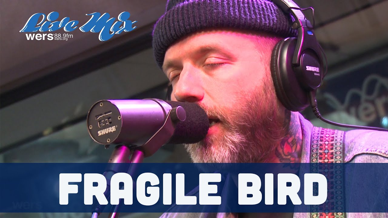 Fragile Bird - City and Colour (Live at WERS) - YouTube